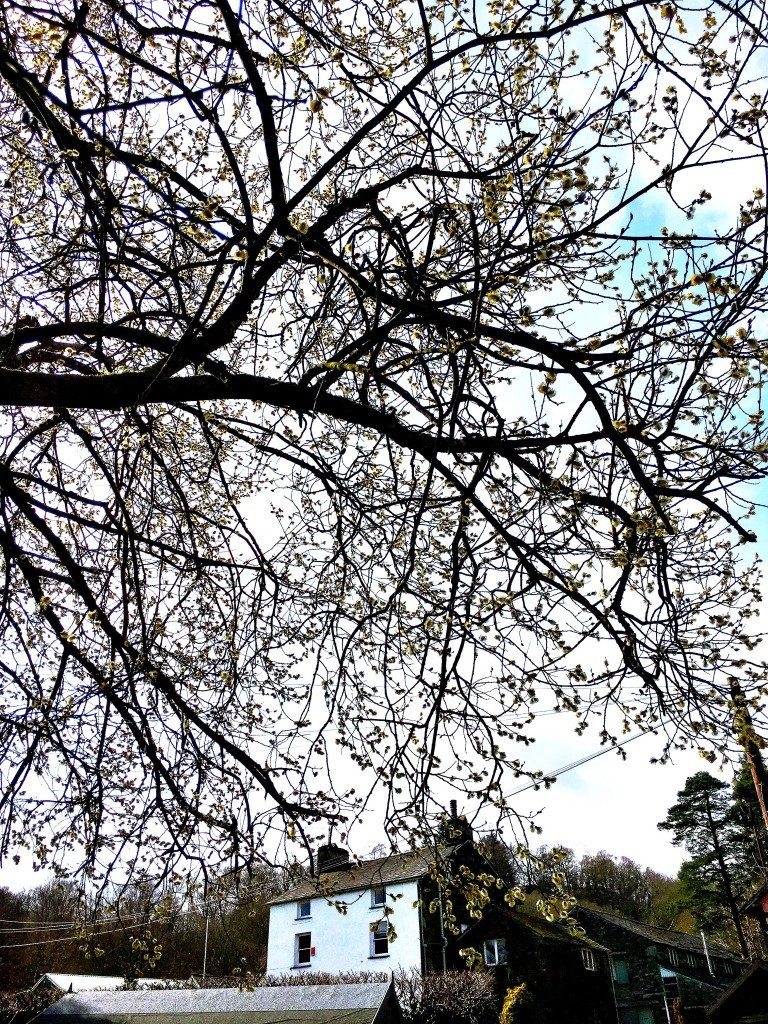 Over 40 style - the British preppy look - Midlifechic