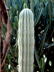 A return to Marrakech - what I packed (and what we did) - Midlifechic