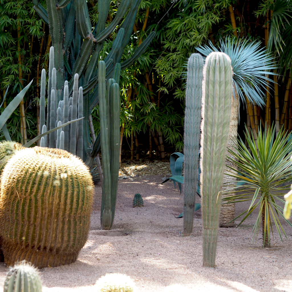 A return to Marrakech - what I packed (and what we did) - Midlifechic