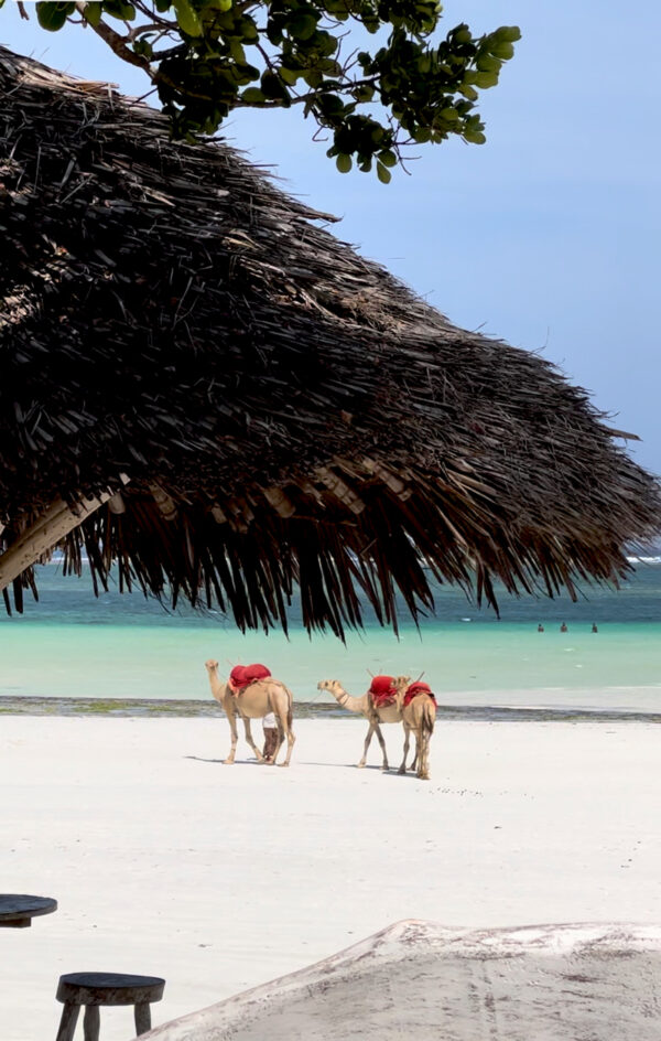 How I packed light for a week on Kenya's coast - Midlifechic